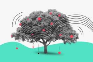 Building a Tree Shaking Friendly JavaScript Package